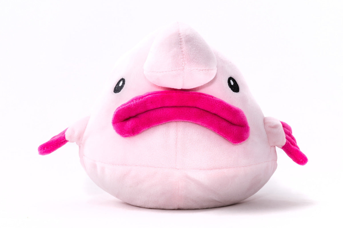 Blobfish plush 10 in | Monterey Bay Aquarium Store