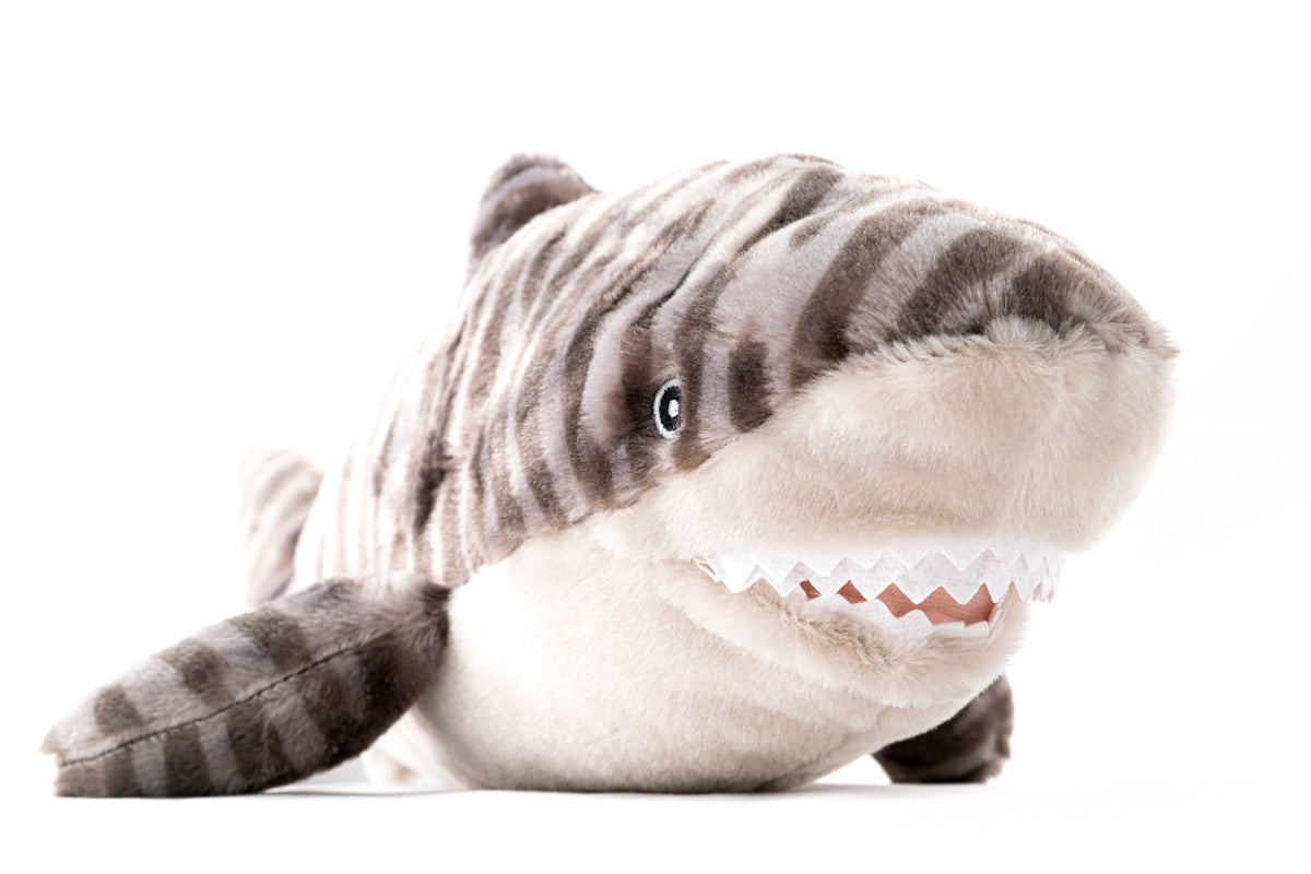 Tiger shark plush 15 in | Monterey Bay Aquarium Store