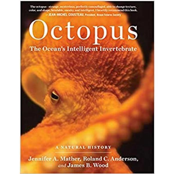 Octopus: The Ocean's Intelligent Invertebrate | Monterey Bay Aquarium Store