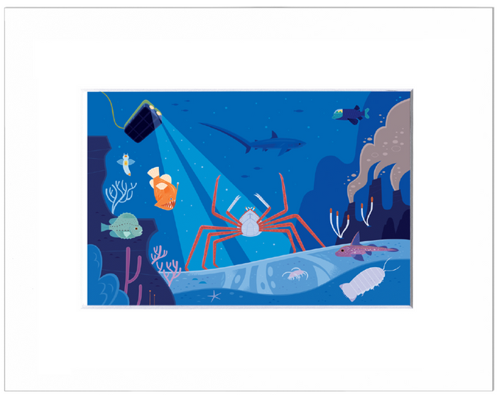 Deep Sea Collection | Monterey Bay Aquarium Store