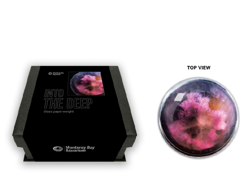 Deep Sea Collection | Monterey Bay Aquarium Store